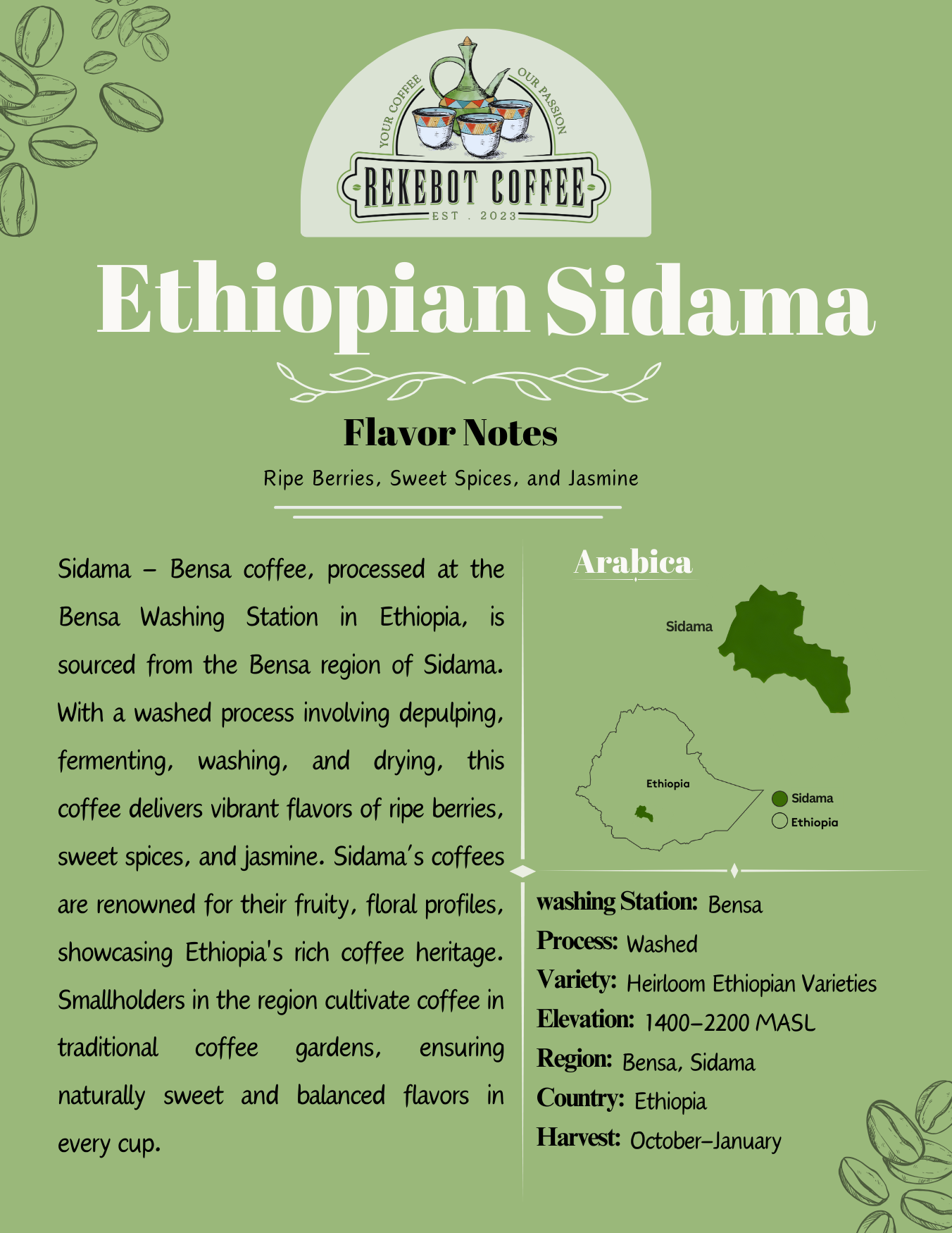 Sidama, Ethiopian Coffee – Rekebot Coffee
